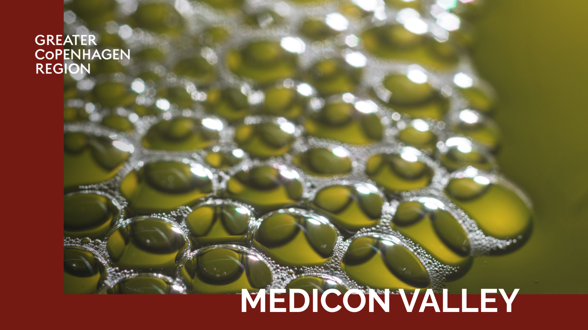 Medicon Valley - the leading Life Science Cluster of the Greater ...